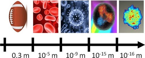 Microscopic scale – Isaac's Science Blog