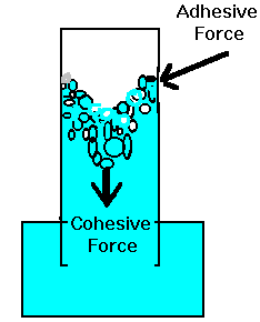 Cohesive forces – Isaac's science blog