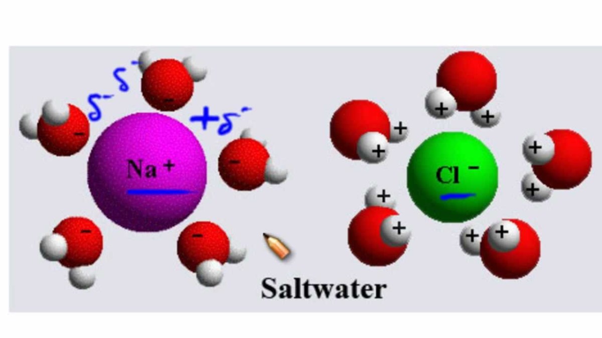 Ion-dipole forces – Isaac's science blog