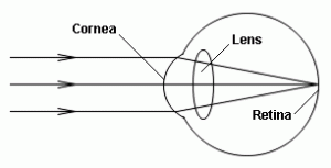 How images form in the eye – Isaac's Science Blog