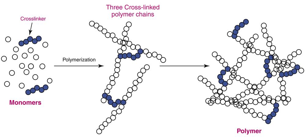 Cross-linking – Isaac's science blog
