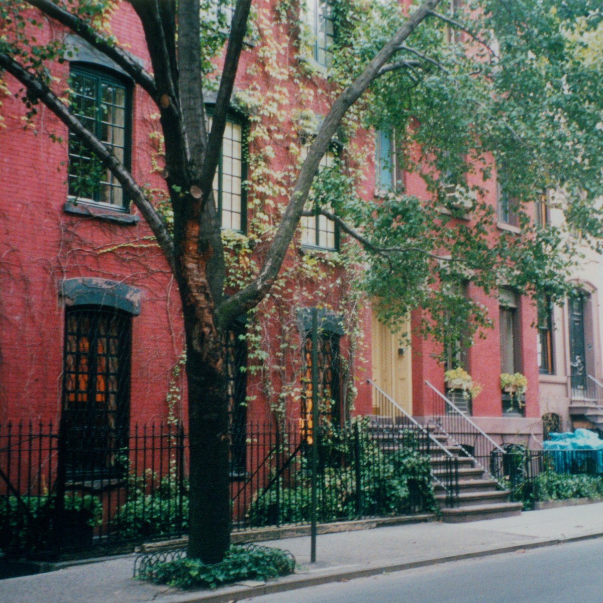 Urban Tree Cover – Isaac's science blog