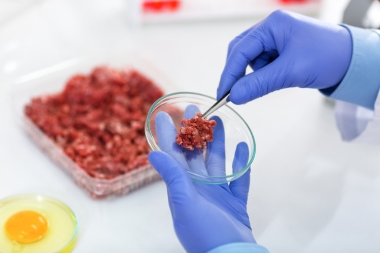 Lab-Grown Meat – Isaac's science blog