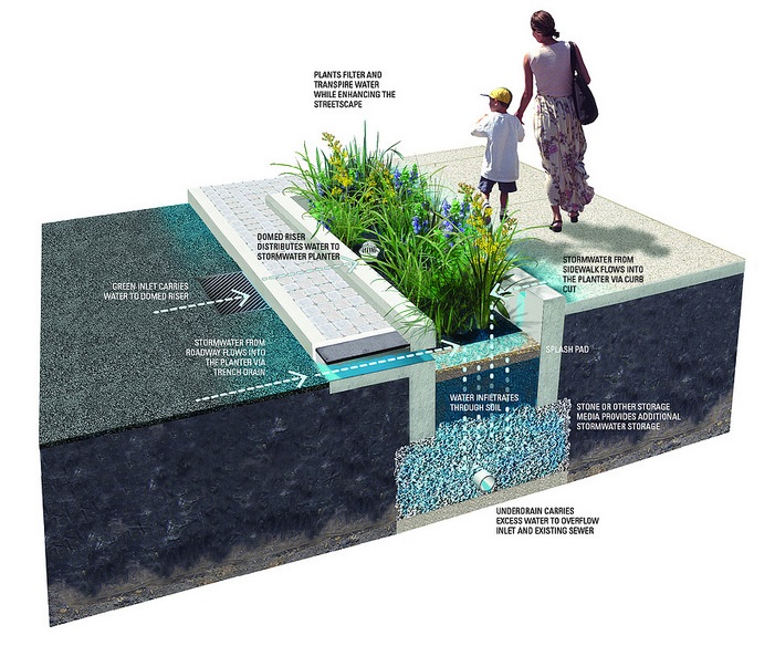 Stormwater Tree Trench – Isaac's science blog