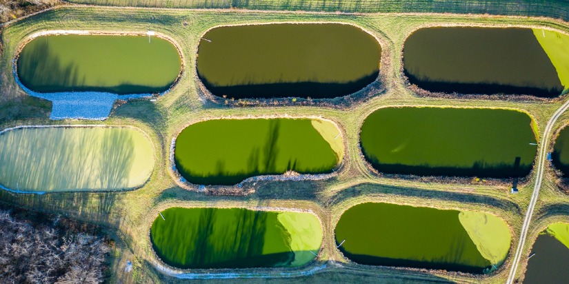 Sewage Lagoons – Isaac's Science Blog