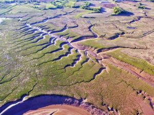 Trellis Drainage Patterns – Isaac's Science Blog