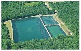 Stabilization Ponds – Isaac's Science Blog