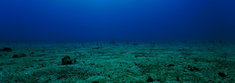 The Abyssal Plain – Isaac's Science Blog